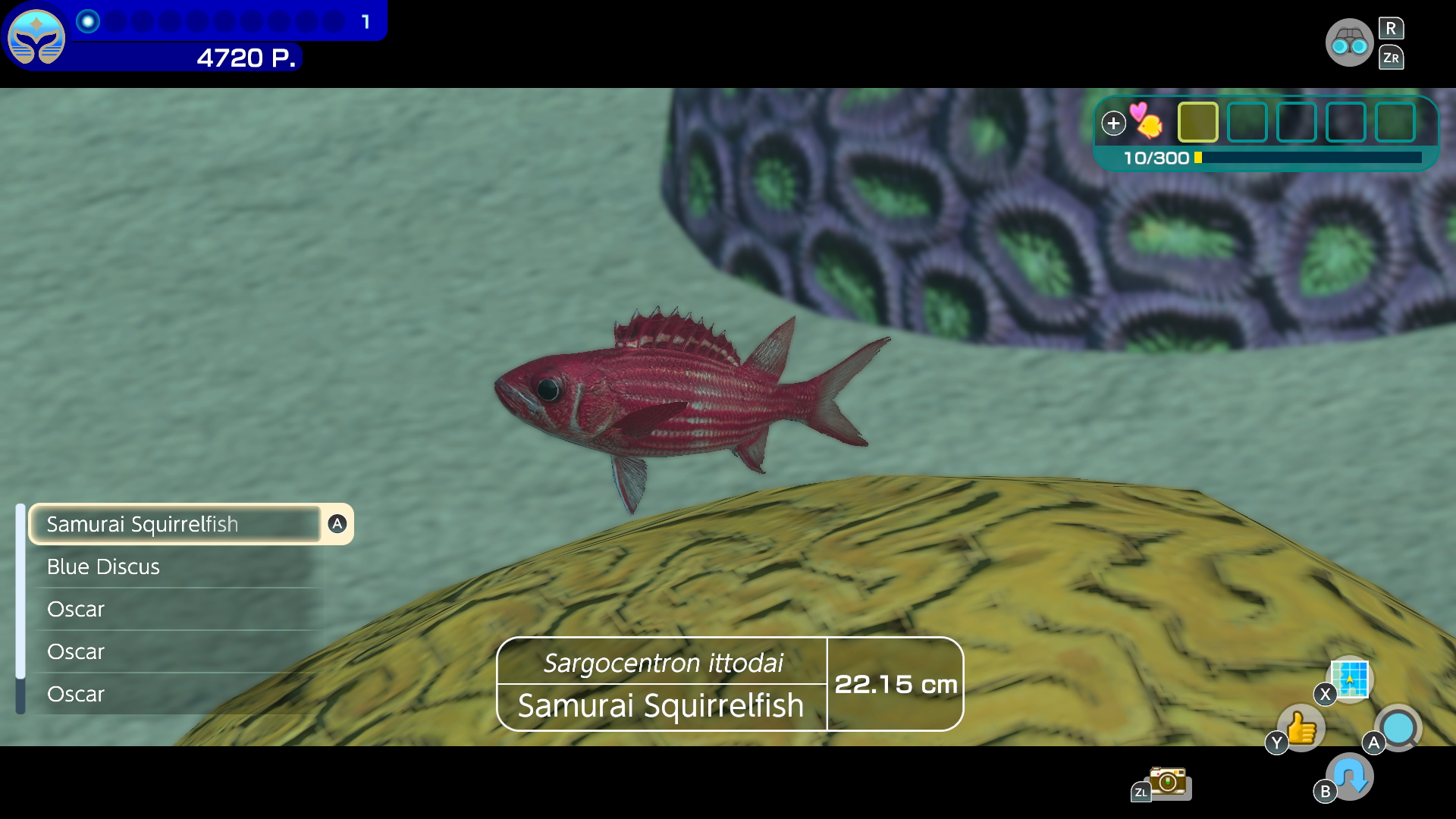 Endless Ocean Luminous - Nintendo